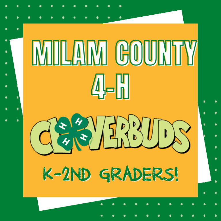 4-H Cloverbuds (K-2nd grade) - Milam County 4-H
